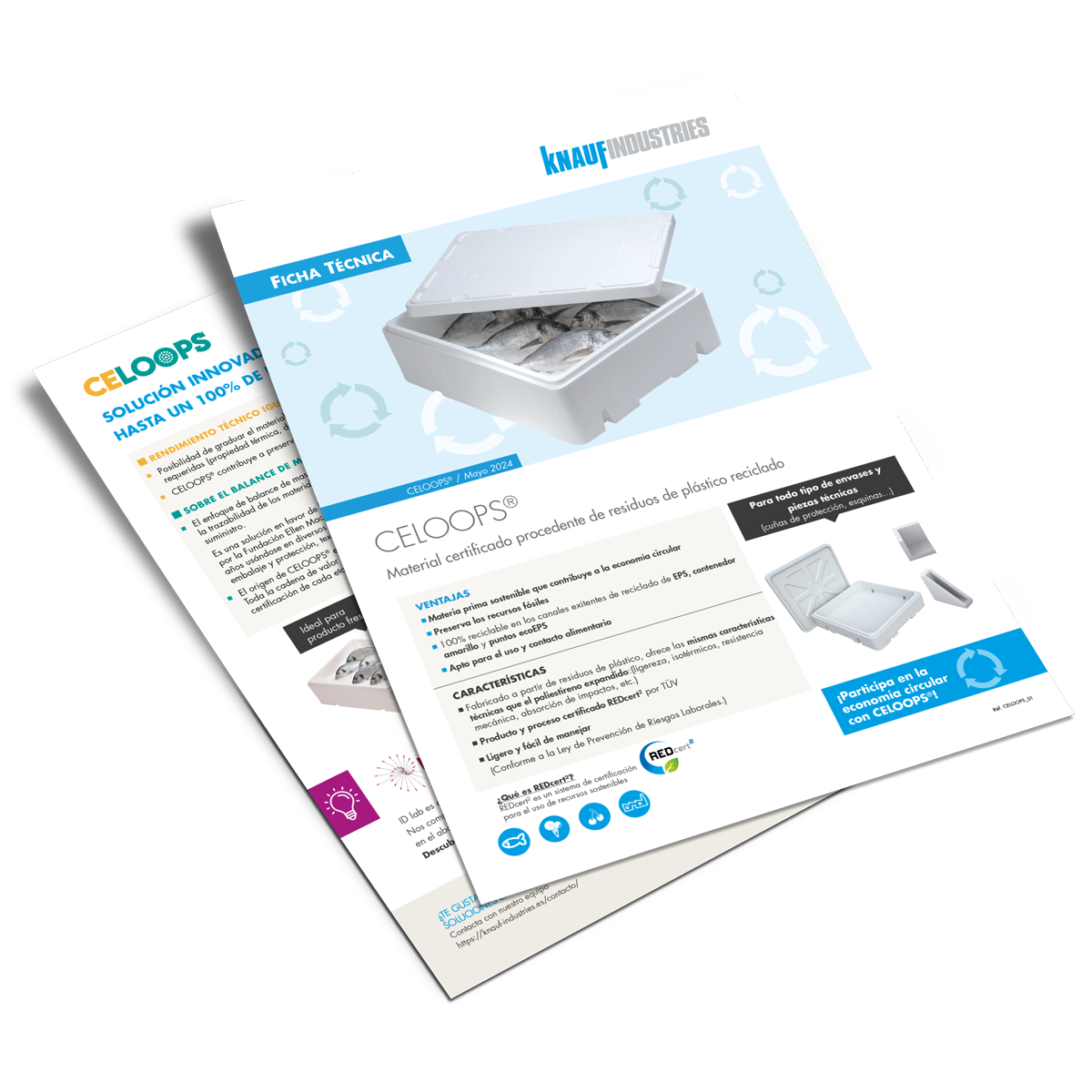 Ficha Técnica de Celoops